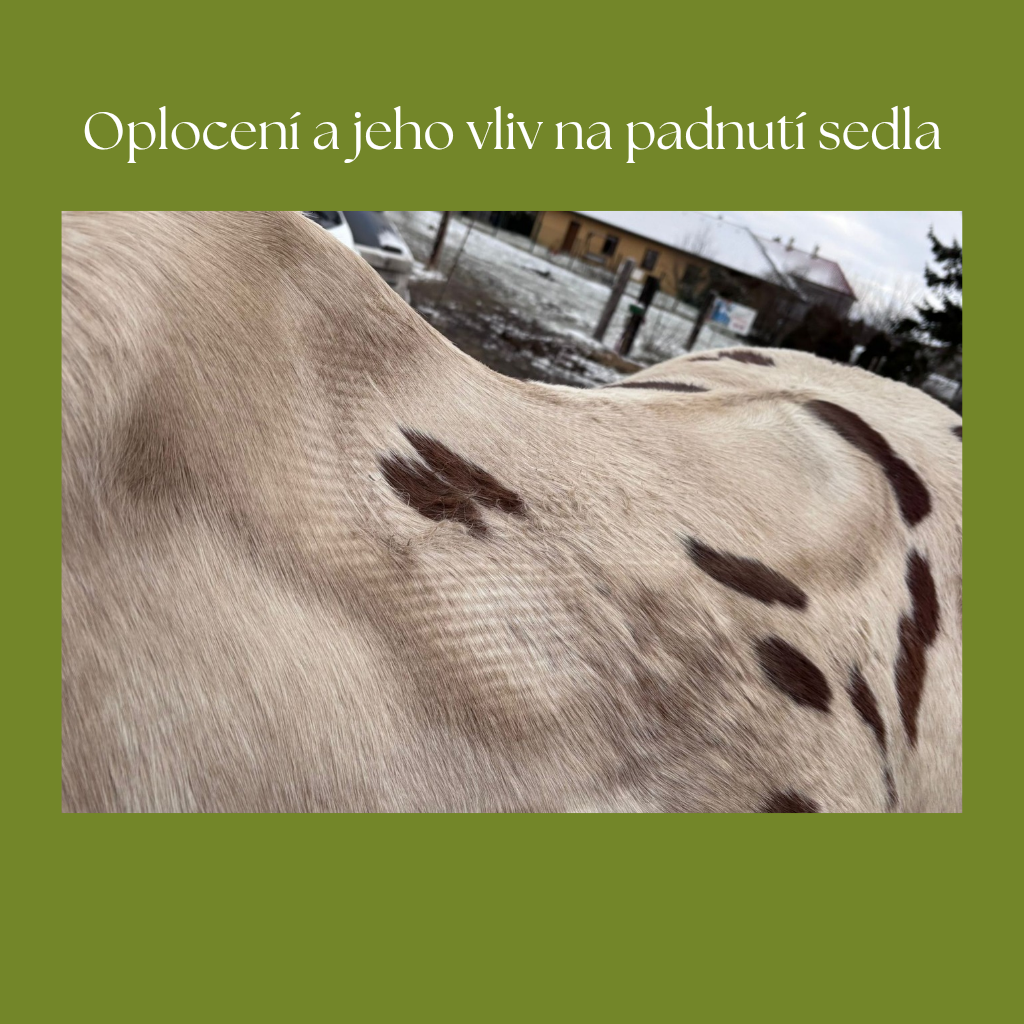 Opocení a jeho vliv na padnutí sedla - Zdravázvířata.cz